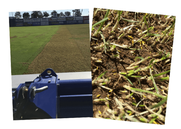 KORO® FIELD TOP MAKER® - FTM® - Koro Field Top Maker - Campey Turf Care ...