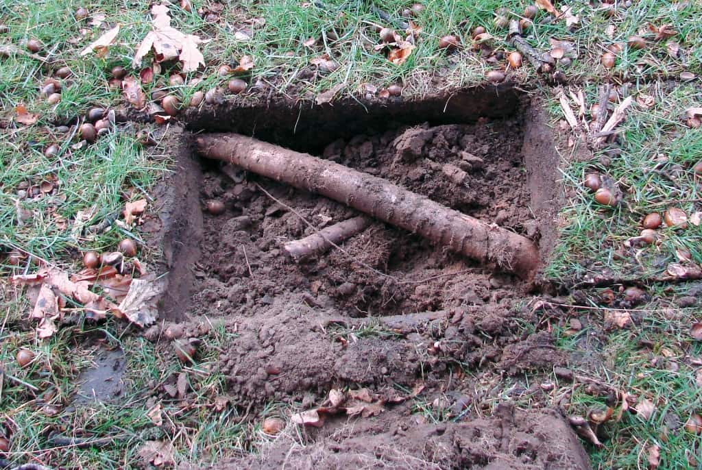 IMANTS - RootPruner - Campey Turf Care Systems